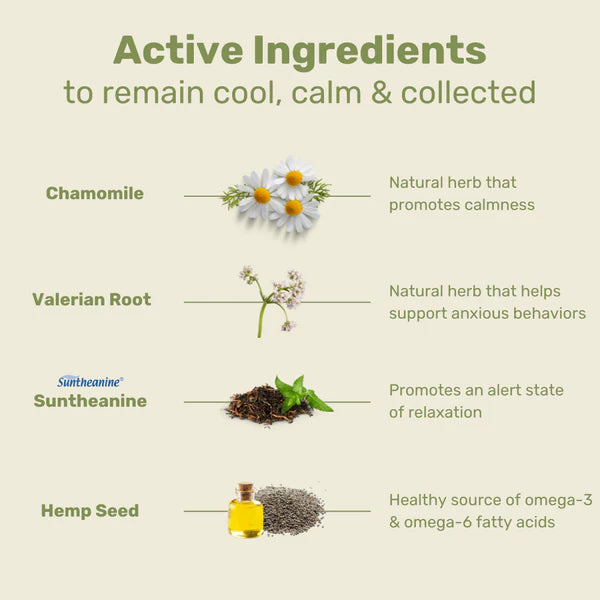 Calming Hemp Behavioral Chews – Pet Retail World