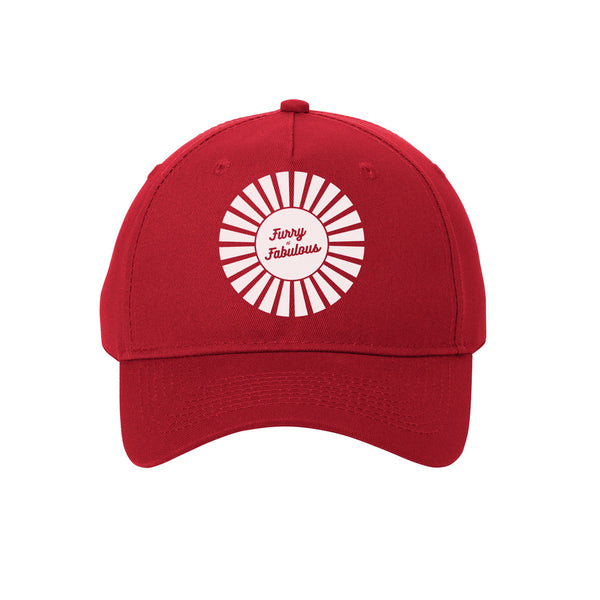 Furry N Fab Hat – Pet Retail World